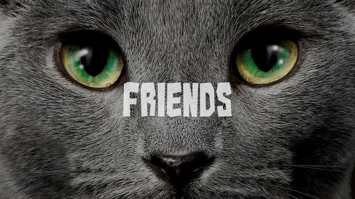 FRIENDS – Page 4 – Ralf Nature